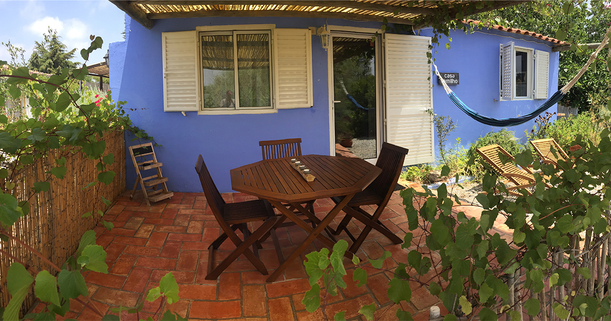 O figo é rei na Quinta da Fornalha